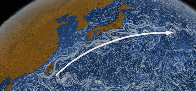 Large-scale Surface currents in the Oceans