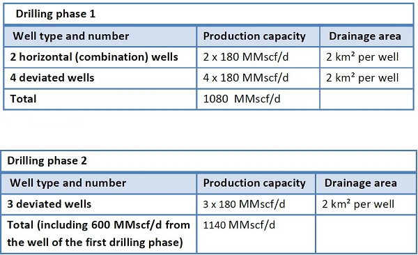 Offshore Field layout, Topside facilities and Oil plateau production
